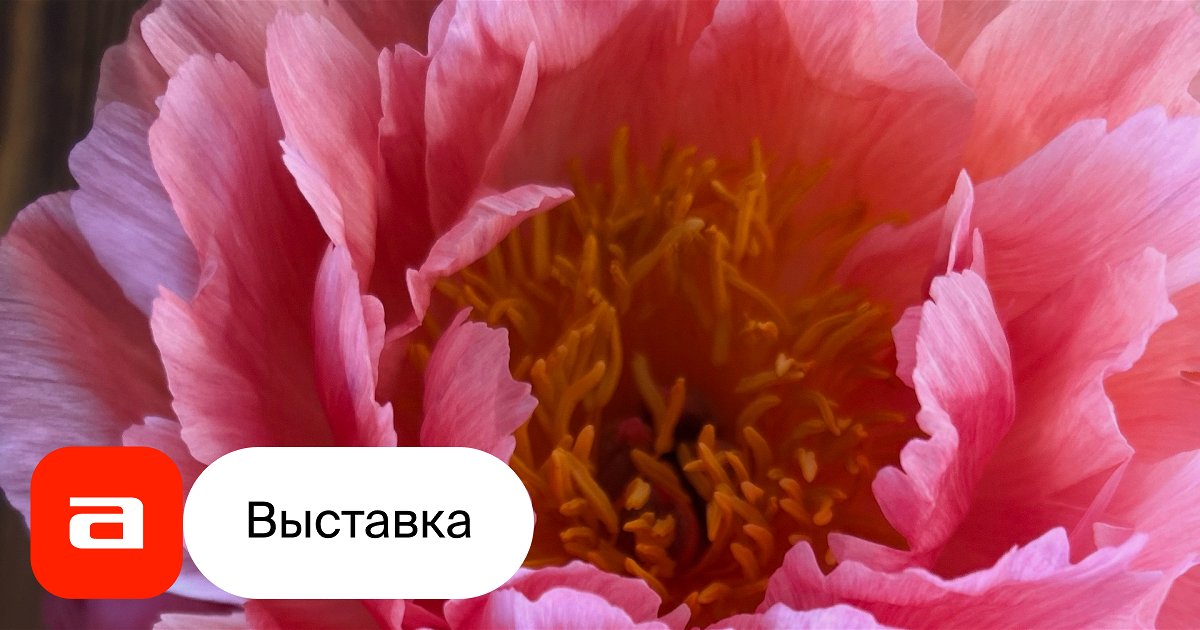 Выставка Арт-терапевтическое занятие «Цветок», Челябинск – Афиша-Музеи
